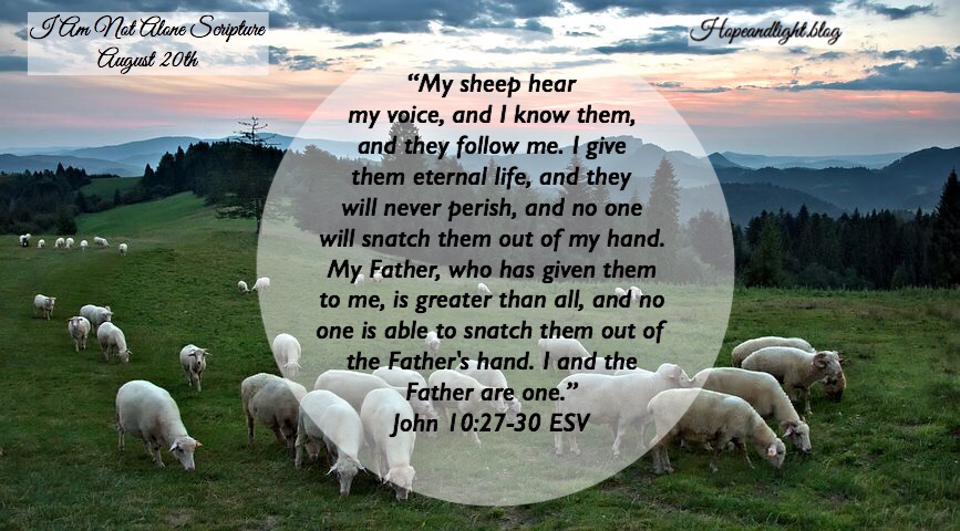 Never Alone: Three Benefits of Being Jesus’ Sheep – HOPE & LIGHT