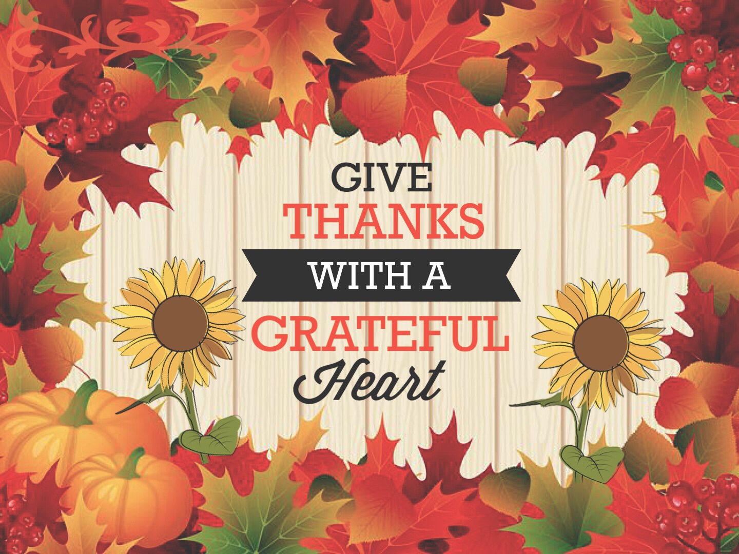 Happy Thanksgiving! 🦃 – HOPE & LIGHT
