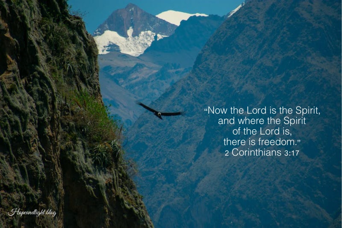 How to Walk in Freedom – HOPE & LIGHT